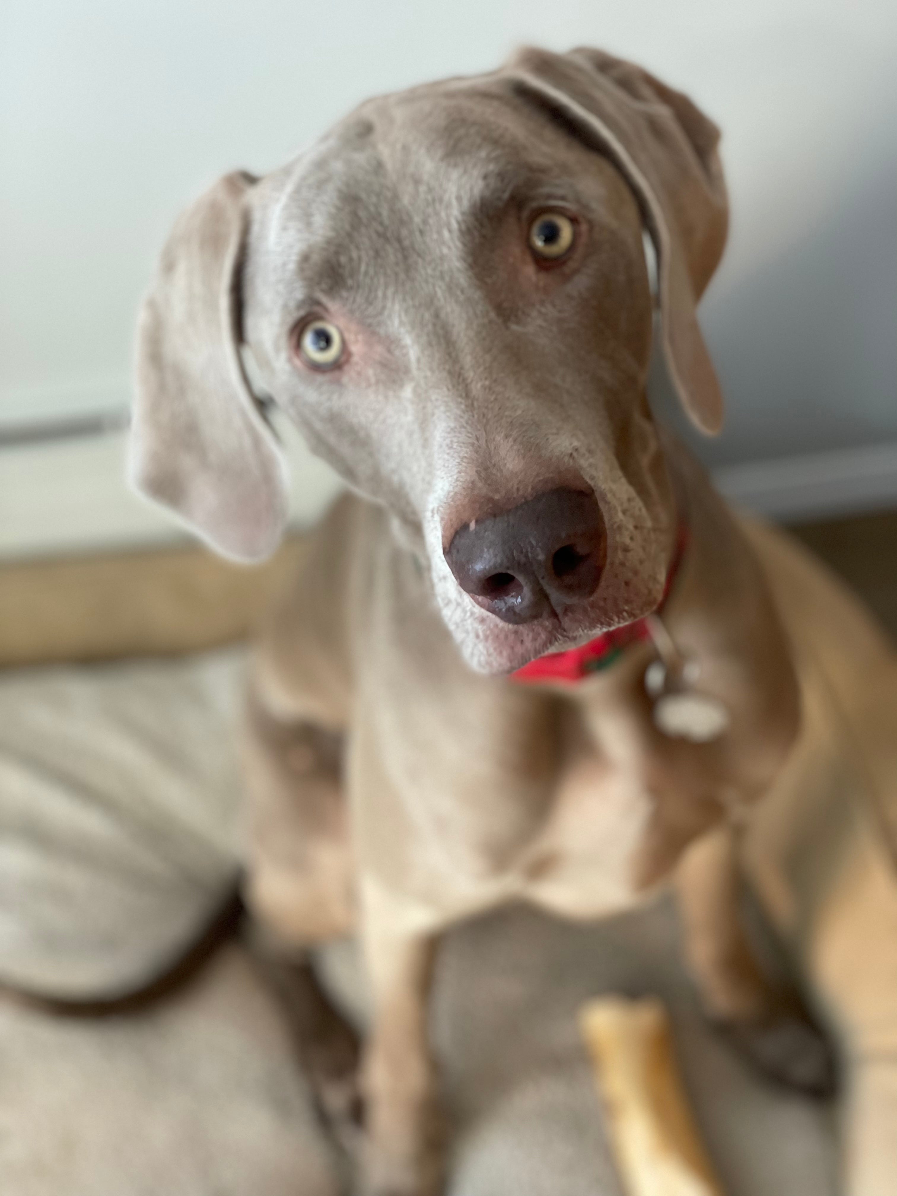 Who We Are – Ungalli Clothing Co.